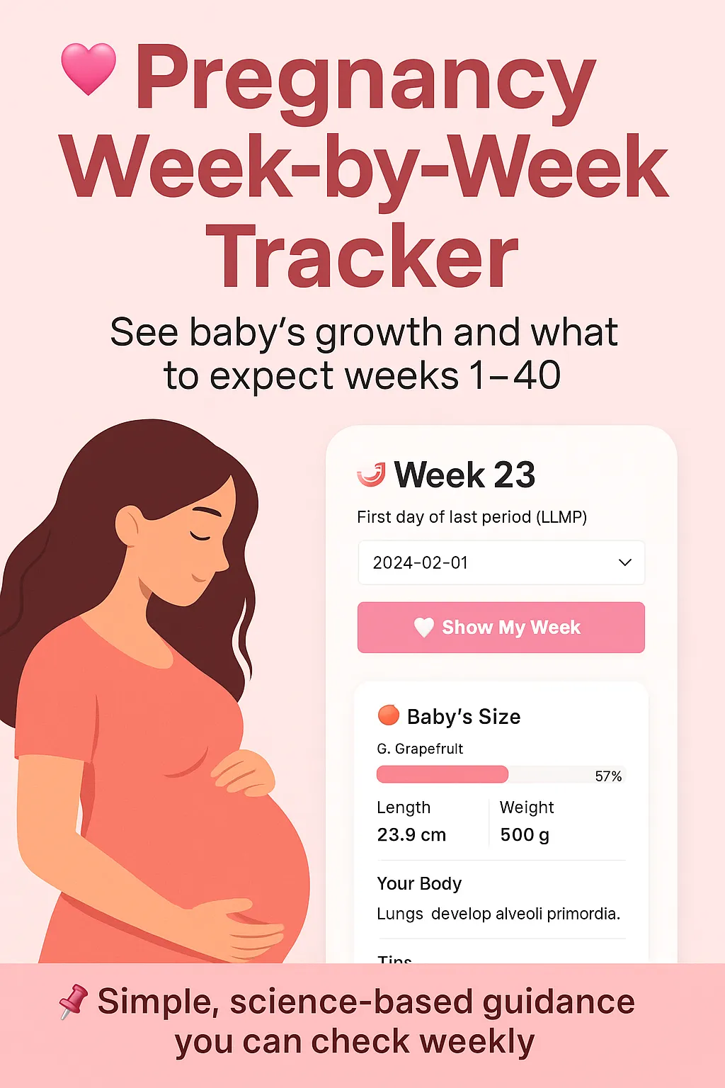 Pregnancy Week-by-Week Tracker – See Baby’s Growth from Week 1 to 40